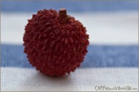 Lychee » Coffee & Vanilla