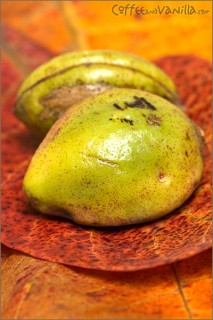 Caribbean Almonds » Coffee & Vanilla