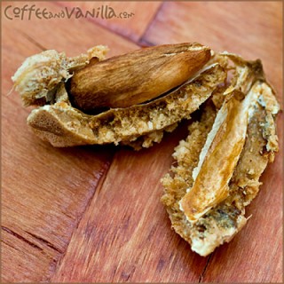 Caribbean Almonds » Coffee & Vanilla