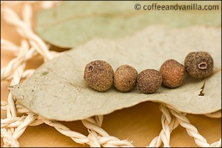 Pimento / Allspice » Coffee & Vanilla