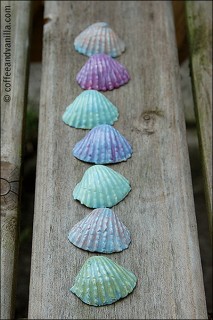 DIY Clay Shells for Our Moss Garden and Pots with Succulents » Coffee ...