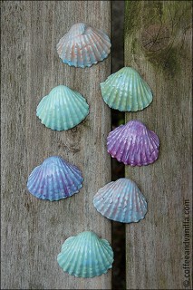 DIY Clay Shells for Our Moss Garden and Pots with Succulents » Coffee ...