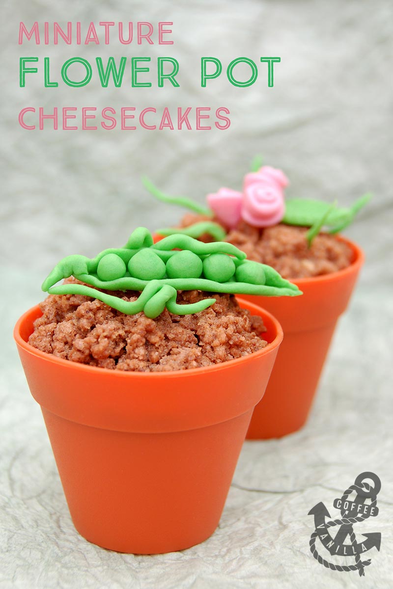 Spring is in The Air - Miniature Flower Pot Cheesecakes » Coffee & Vanilla