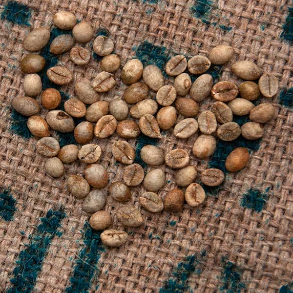 Christophene / Chayote / Chocho / Buddha Hand Squash » Coffee & Vanilla