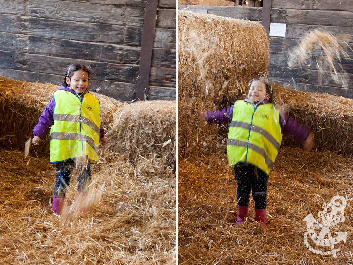 Visiting Middle Farm - Family Day Out Idea » Coffee & Vanilla