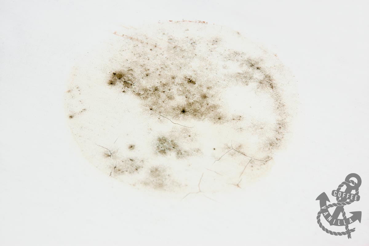 How to Protect Window Sills from Planter Stains - Easy Solution ...