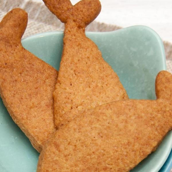 Lightly Spiced Fish Biscuits for Fans of The Octonauts » Coffee & Vanilla