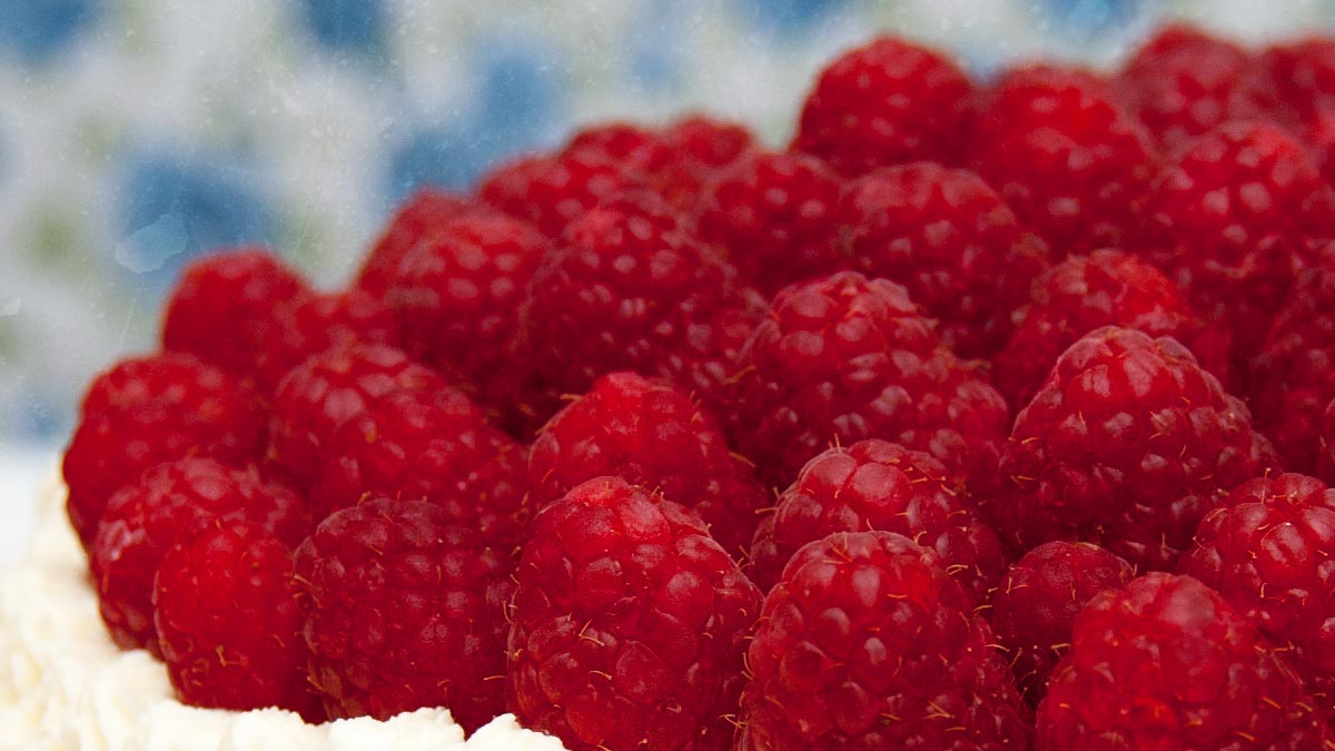 Triple Layer Vanilla Sponge Cake with Raspberries & Chocolate » Coffee ...